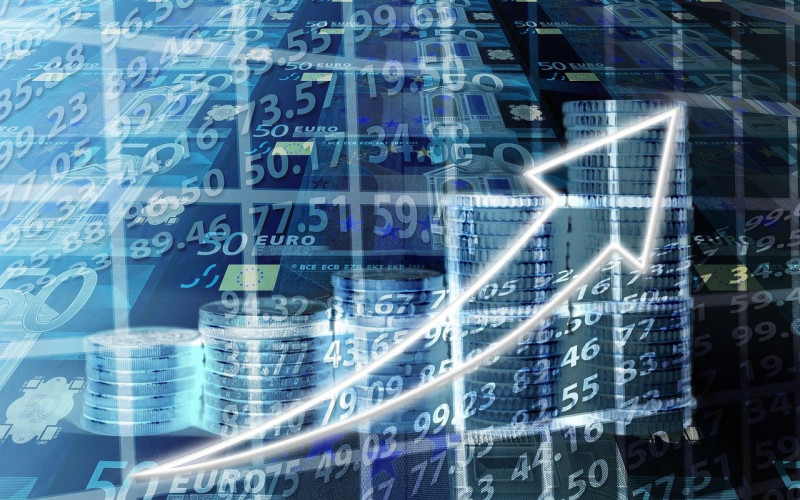 ¿Qué es la demanda inelástica? - ConTuNegocio